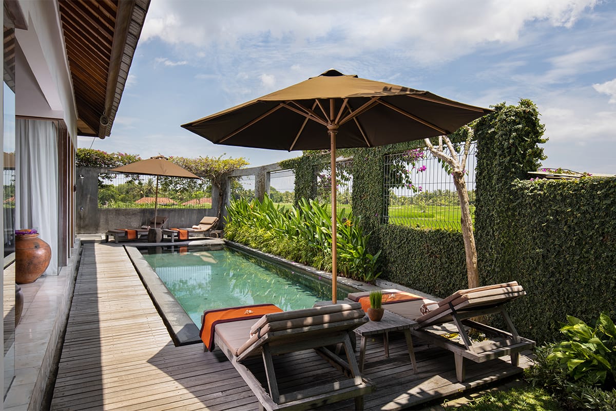 SPECIAL PACKAGES - Ubud Luxury Villa - Villa Kayu Lama | Official Site